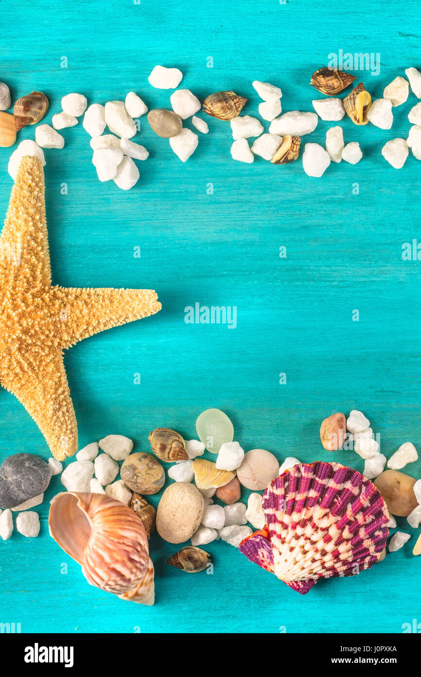 An overhead photo of a sea star, sea shells, and pebbles forming a ...