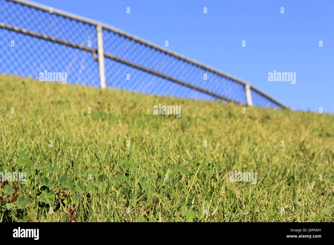 Macro Photo of green grass on Hill with soft focus railing and blue sky ...