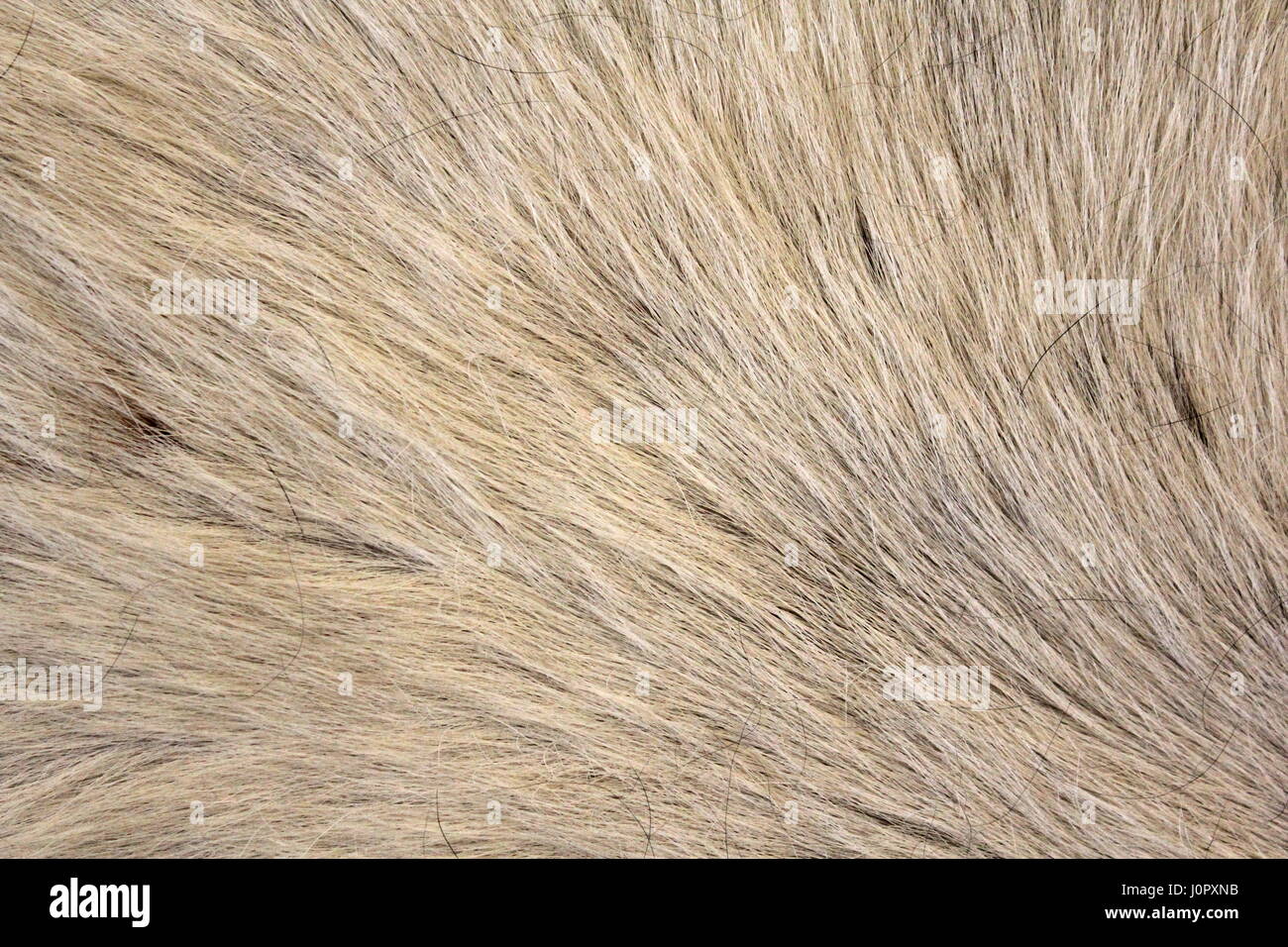 Cream leather texture hi-res stock photography and images - Alamy