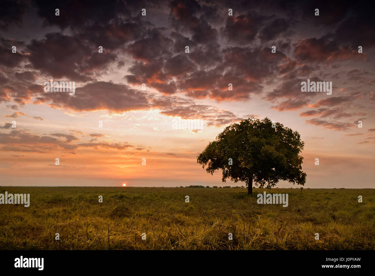 Australian landscape silhouette hi-res stock photography and images - Alamy