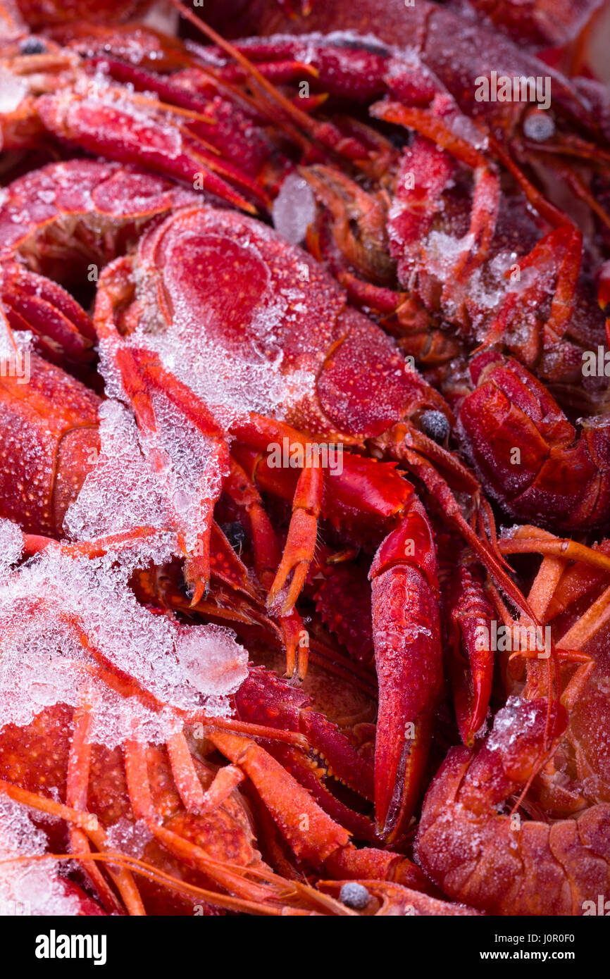 Frozen crayfish with white wine and garlic ready for cooking Stock ...