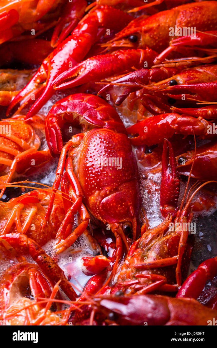 Crayfish are being cooked on a frying pan Stock Photo - Alamy