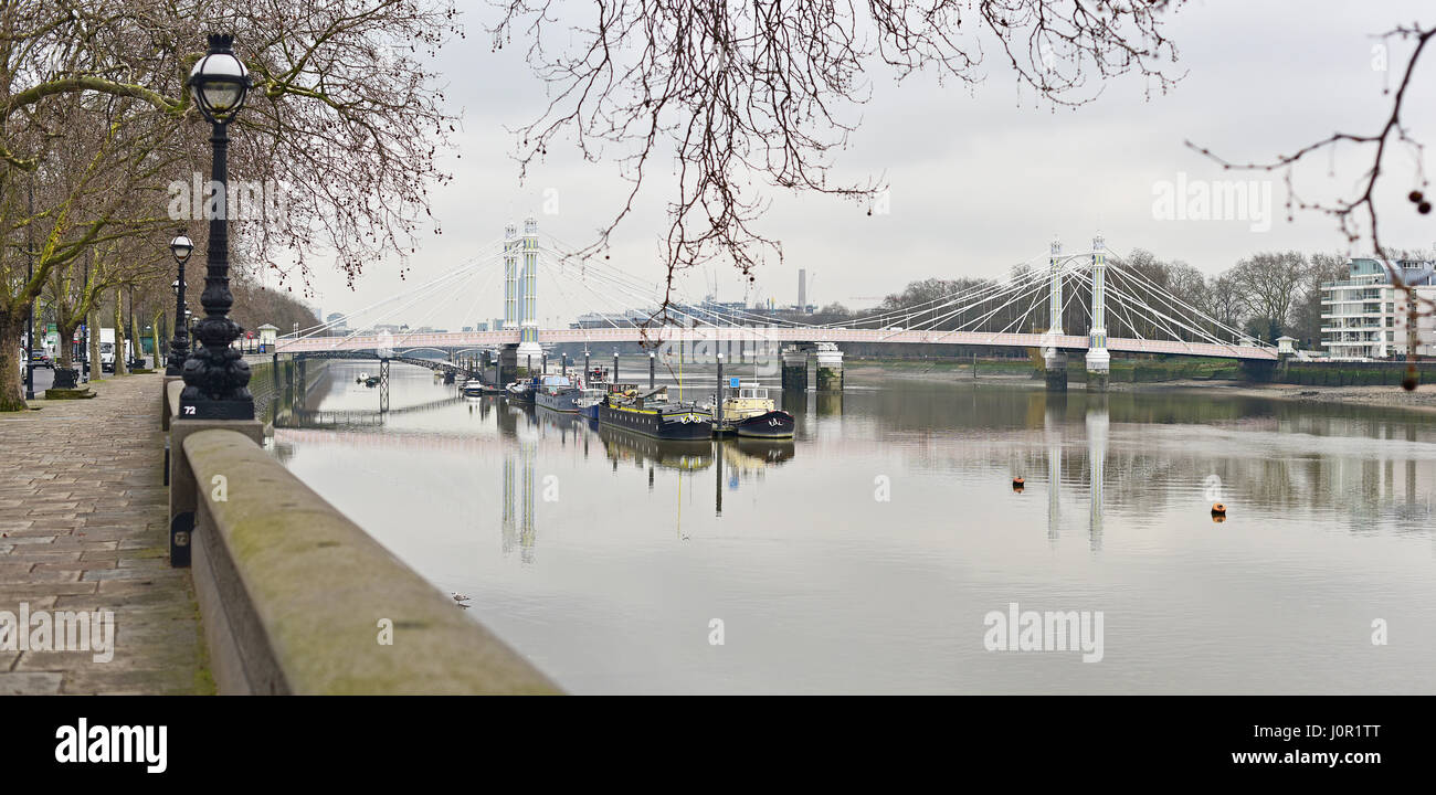 Albert Bridge from the Chelsea Embankment in Winter Stock Photo - Alamy