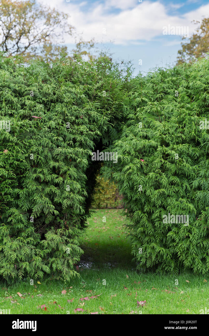 Nature arch green garden hi-res stock photography and images - Alamy