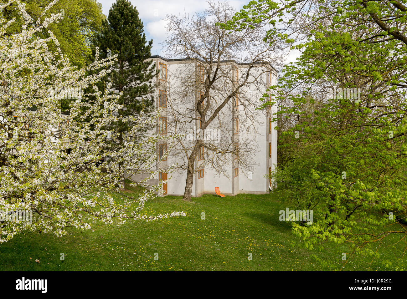 Ulm school of design hi-res stock photography and images - Alamy