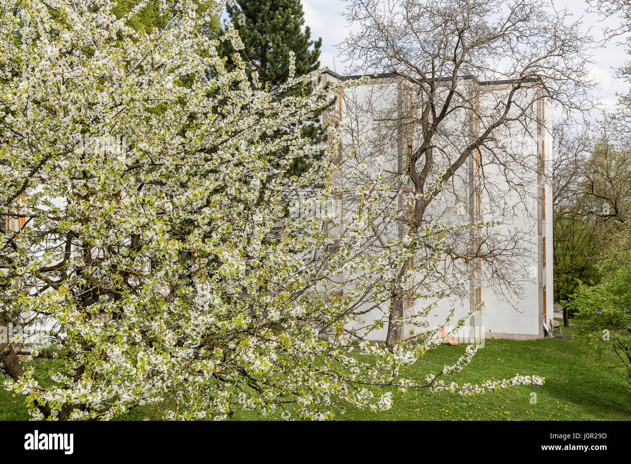 The Ulm School of Design (Hochschule für Gestaltung) in Ulm, Germany ...