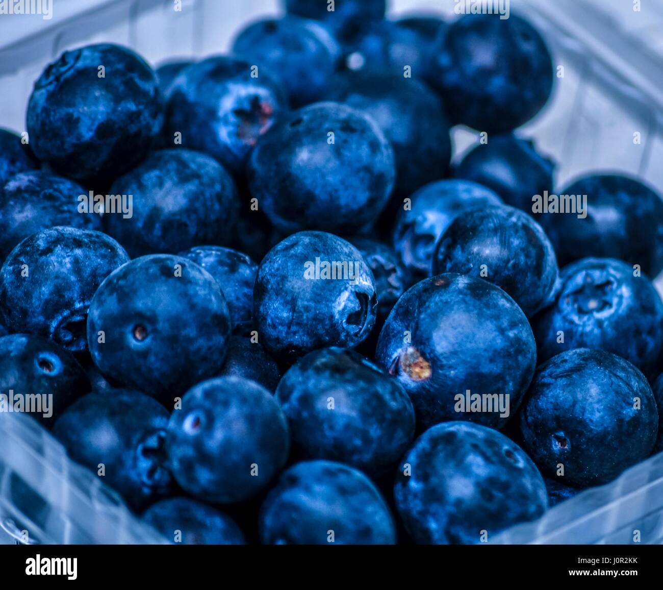 Organic Blueberry Fresh Stock Photo - Alamy