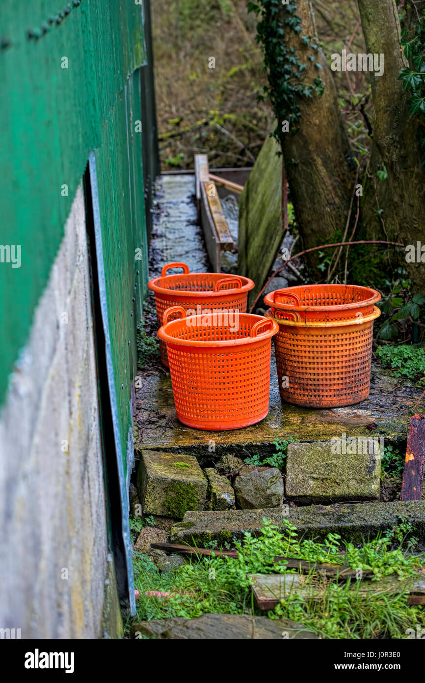 Fish buckets hi-res stock photography and images - Alamy