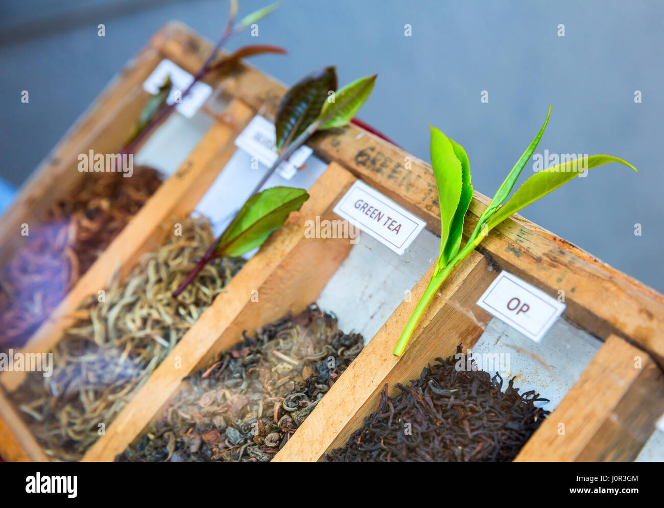 Collection of fresh Ceylon teas in boxes, closeup view. Aromatic ...