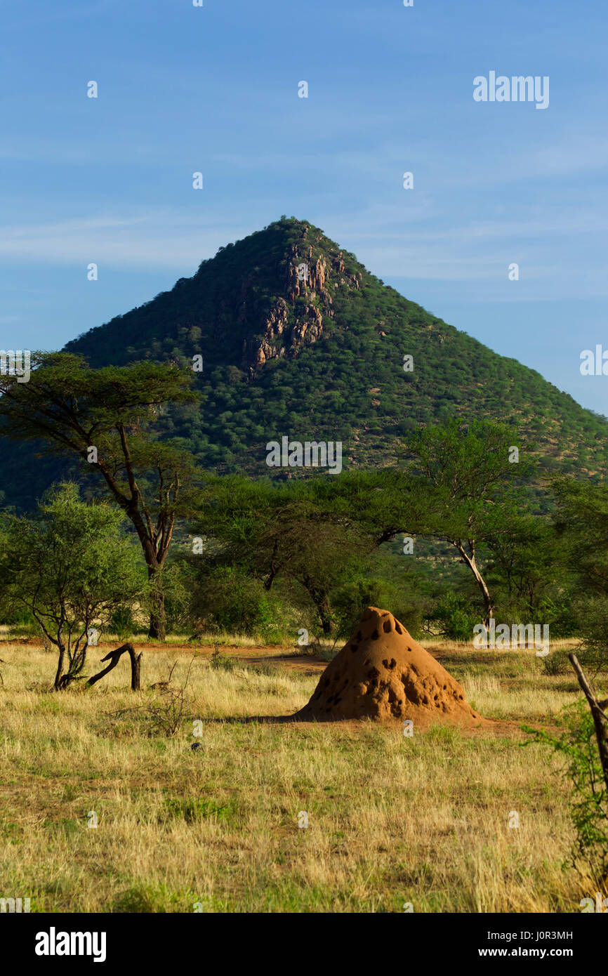 Termite mound in front of a mountain, Samburu National Reserve, Kenya ...