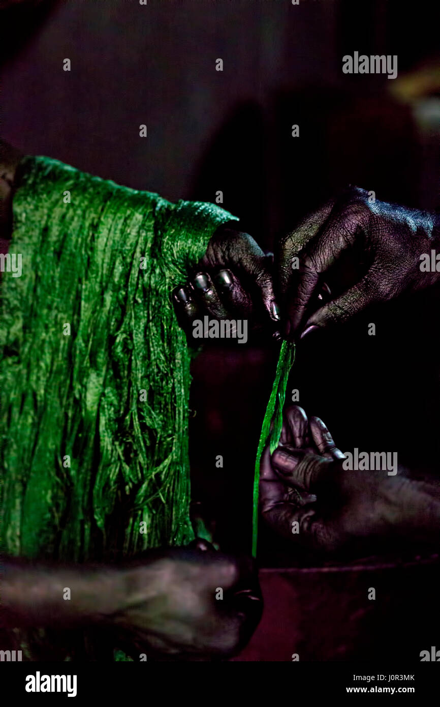 Wool tannery hi-res stock photography and images - Alamy