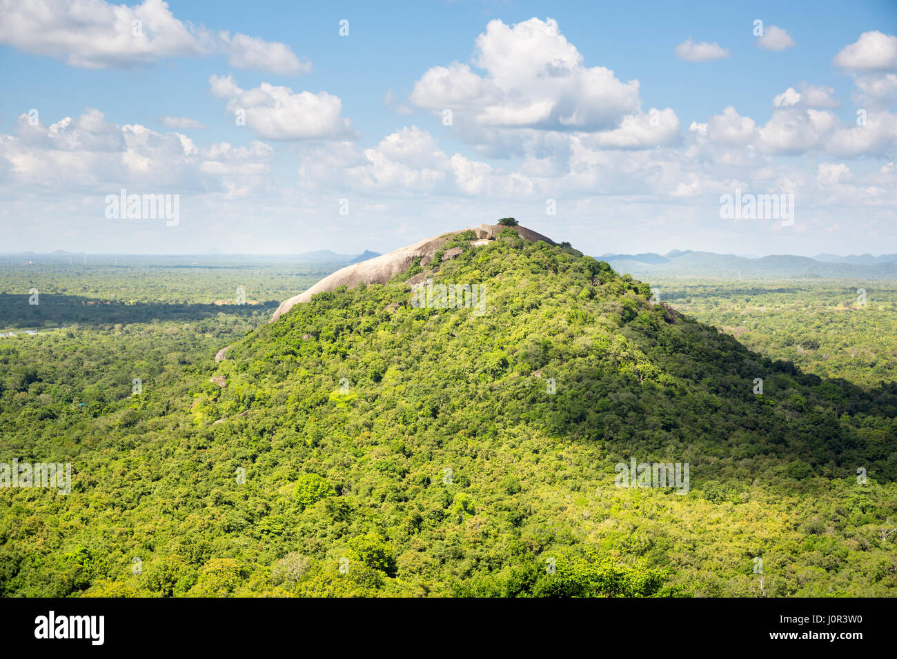 Scenic green valley and tea mountains, Ceylon. Landscape of Sri Lanka ...