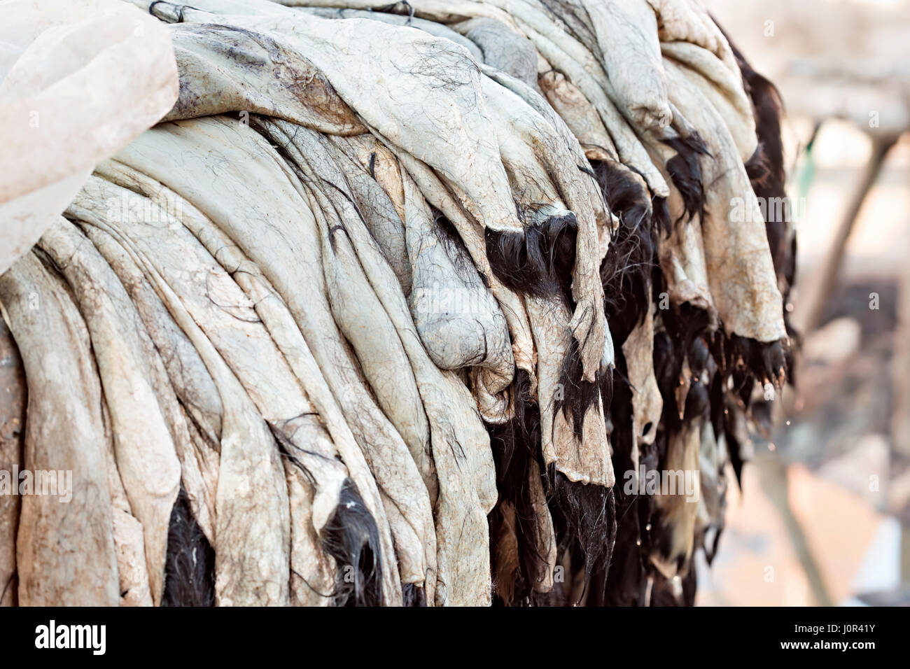 Marrakech leather factory hi-res stock photography and images - Alamy