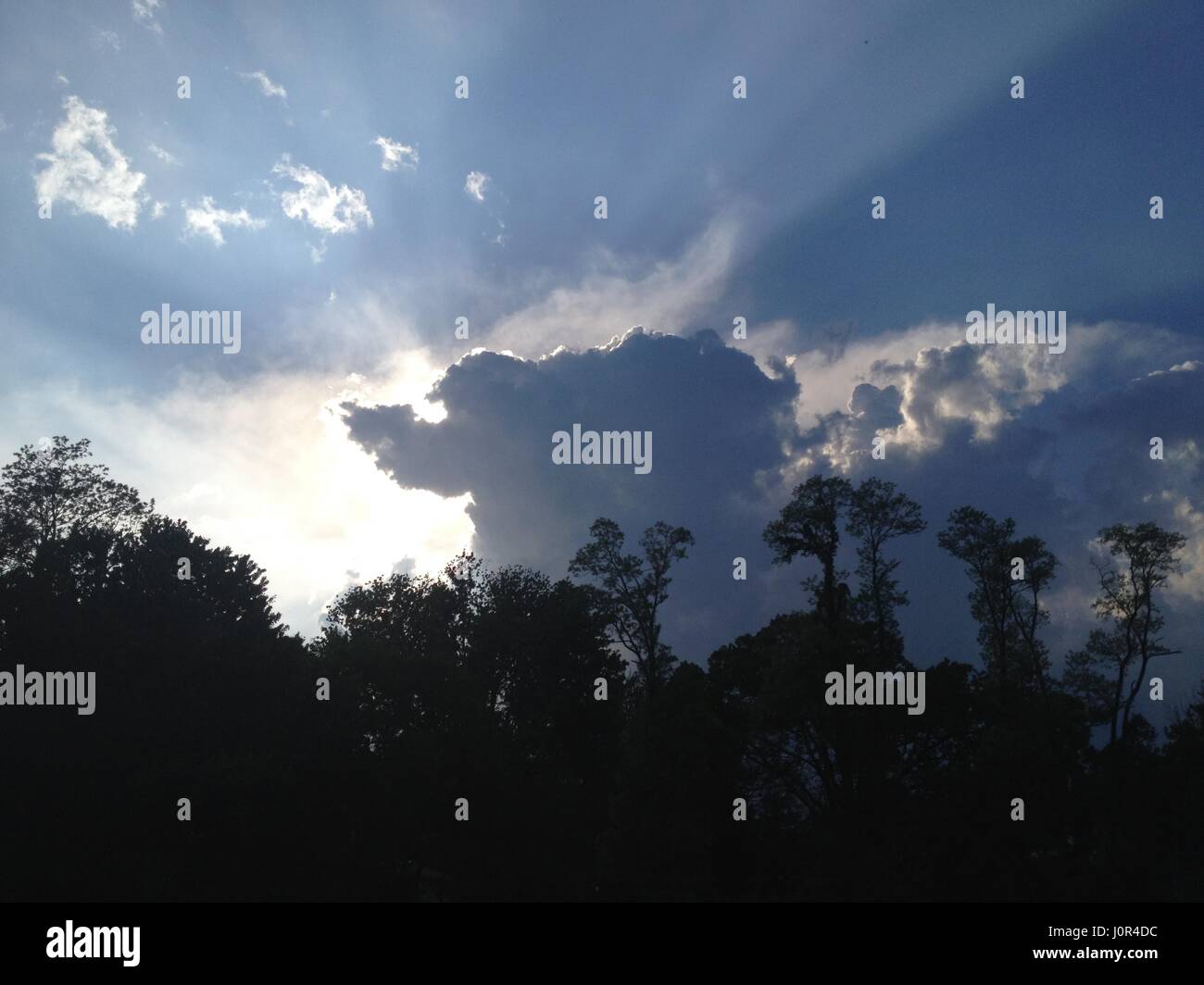 Elephant cloud hi-res stock photography and images - Alamy