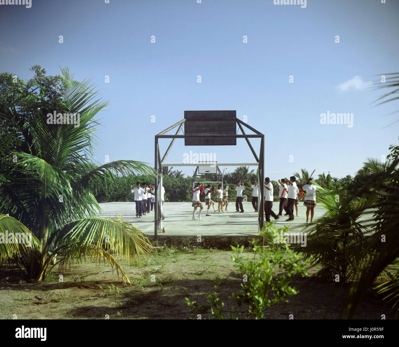 Jungle school hi-res stock photography and images - Alamy