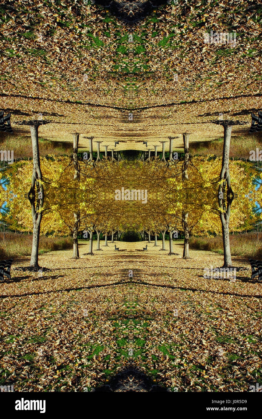 Trippy color hi-res stock photography and images - Alamy