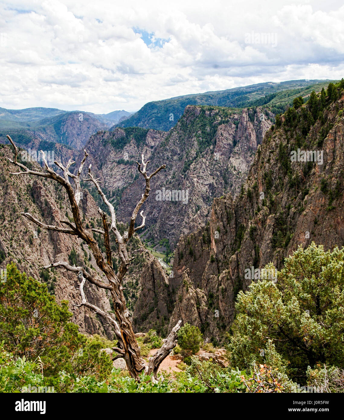 Canyon of the gunnison national park hi-res stock photography and ...