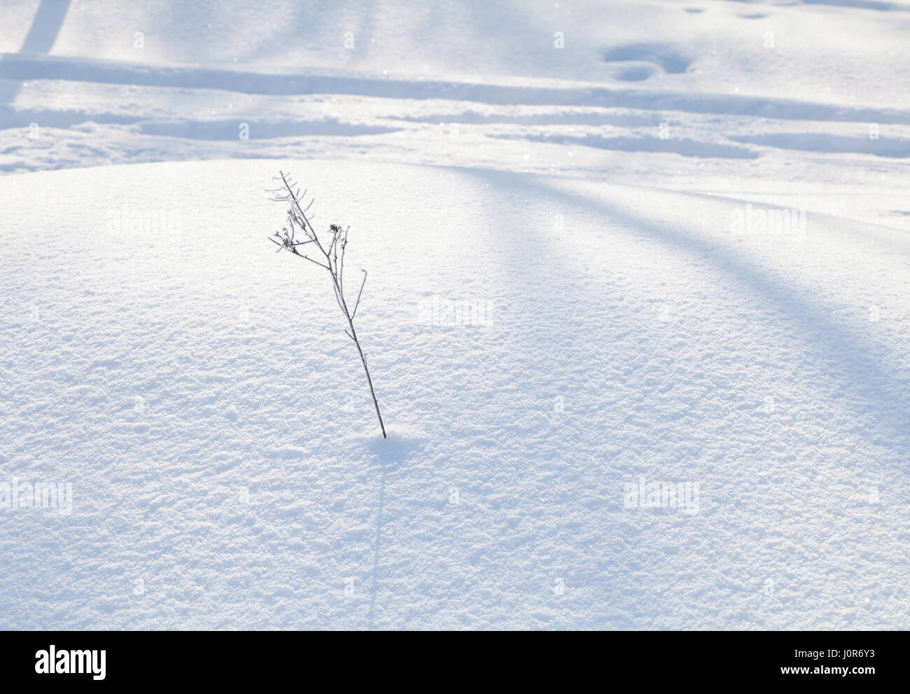 Abstract background from a natural ice and snow texture Stock Photo - Alamy