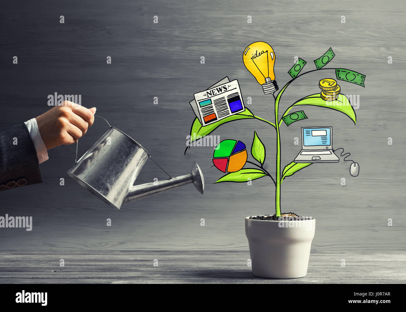 Drawn income tree in white pot for business investment savings and ...