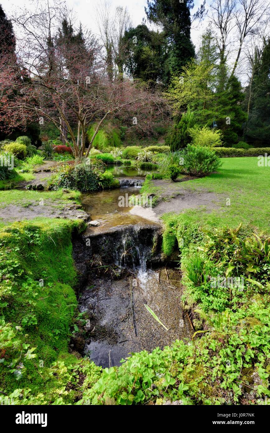 Matlock gardens hi-res stock photography and images - Alamy