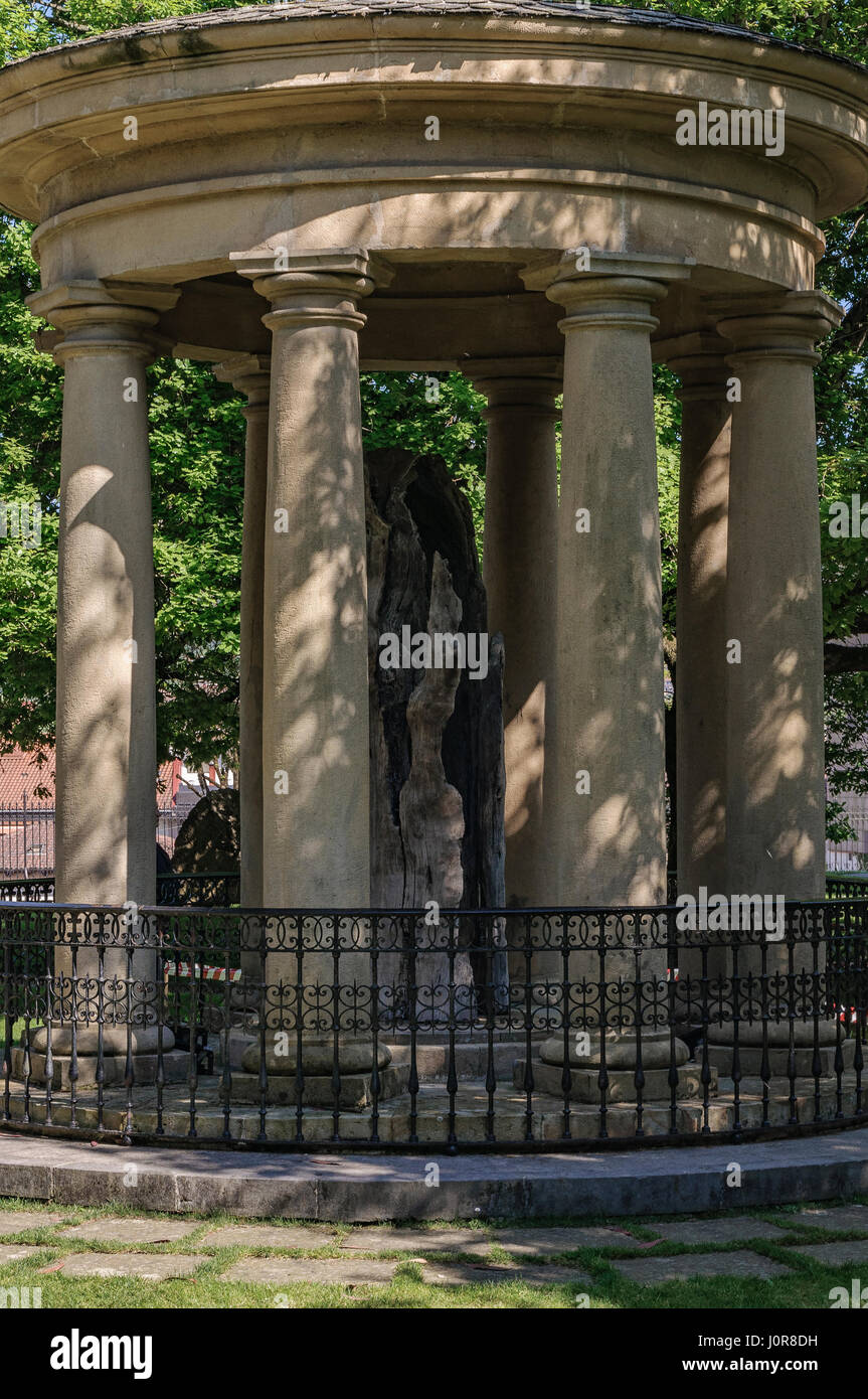 The Gernika tree is one of the most universal symbols of the Basque ...