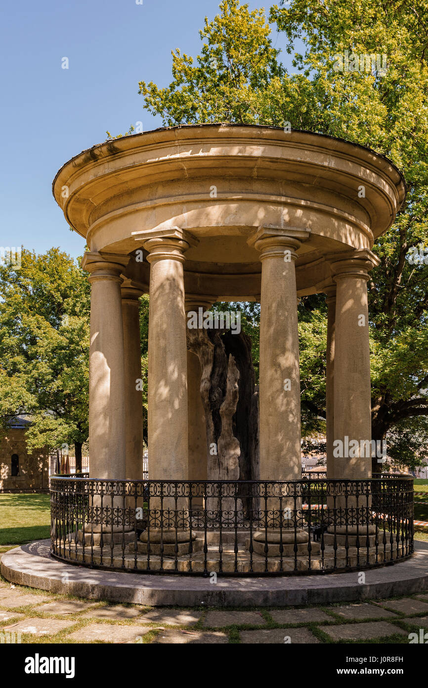 The Gernika tree is one of the most universal symbols of the Basque ...