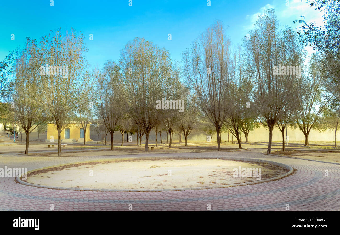 Dried Tree in park Stock Photo - Alamy