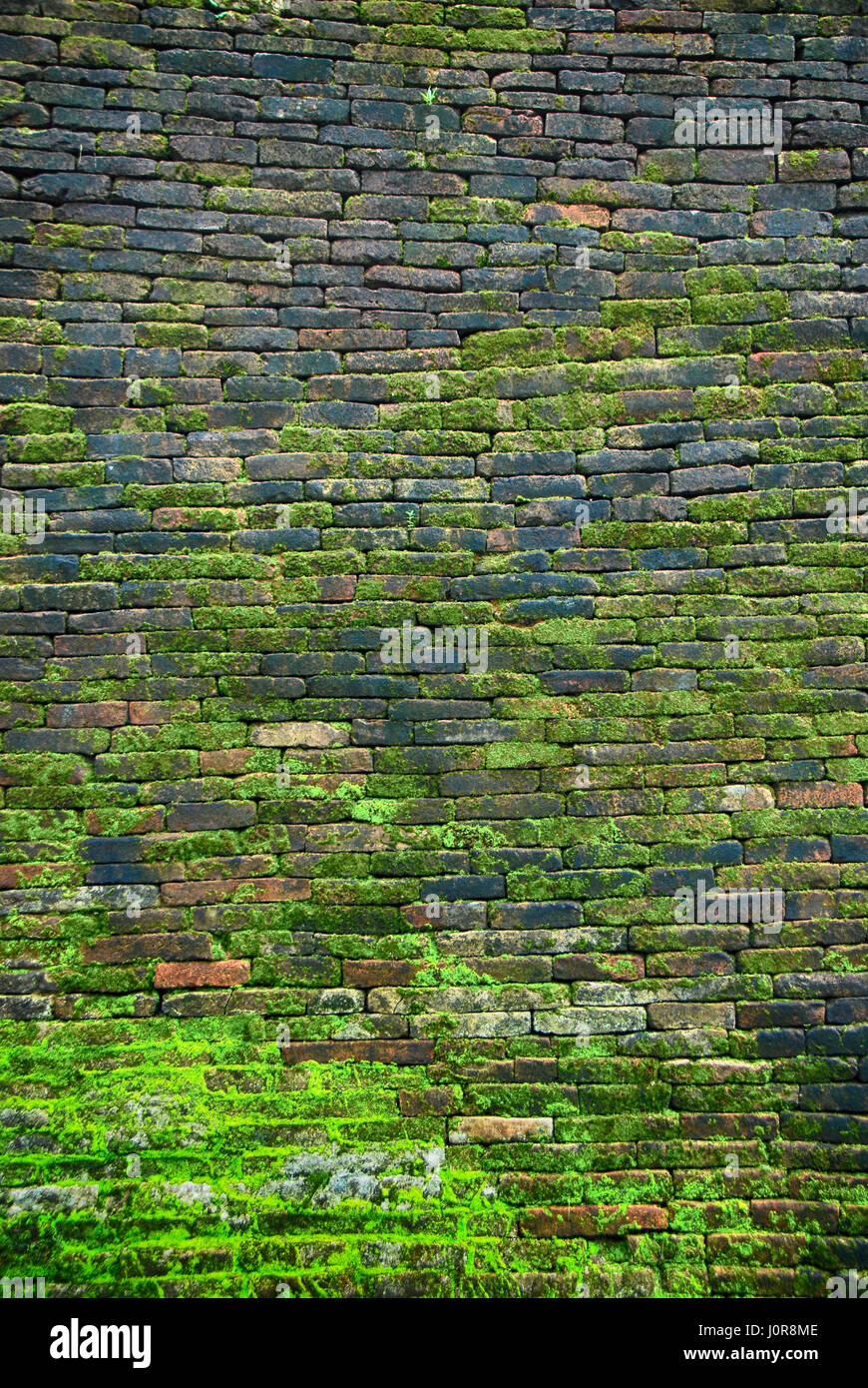 Mossy Brick Texture