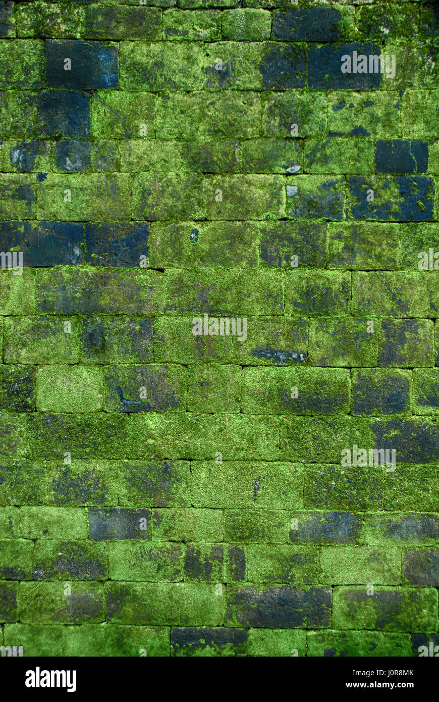 Castle wall with moss hi-res stock photography and images - Alamy