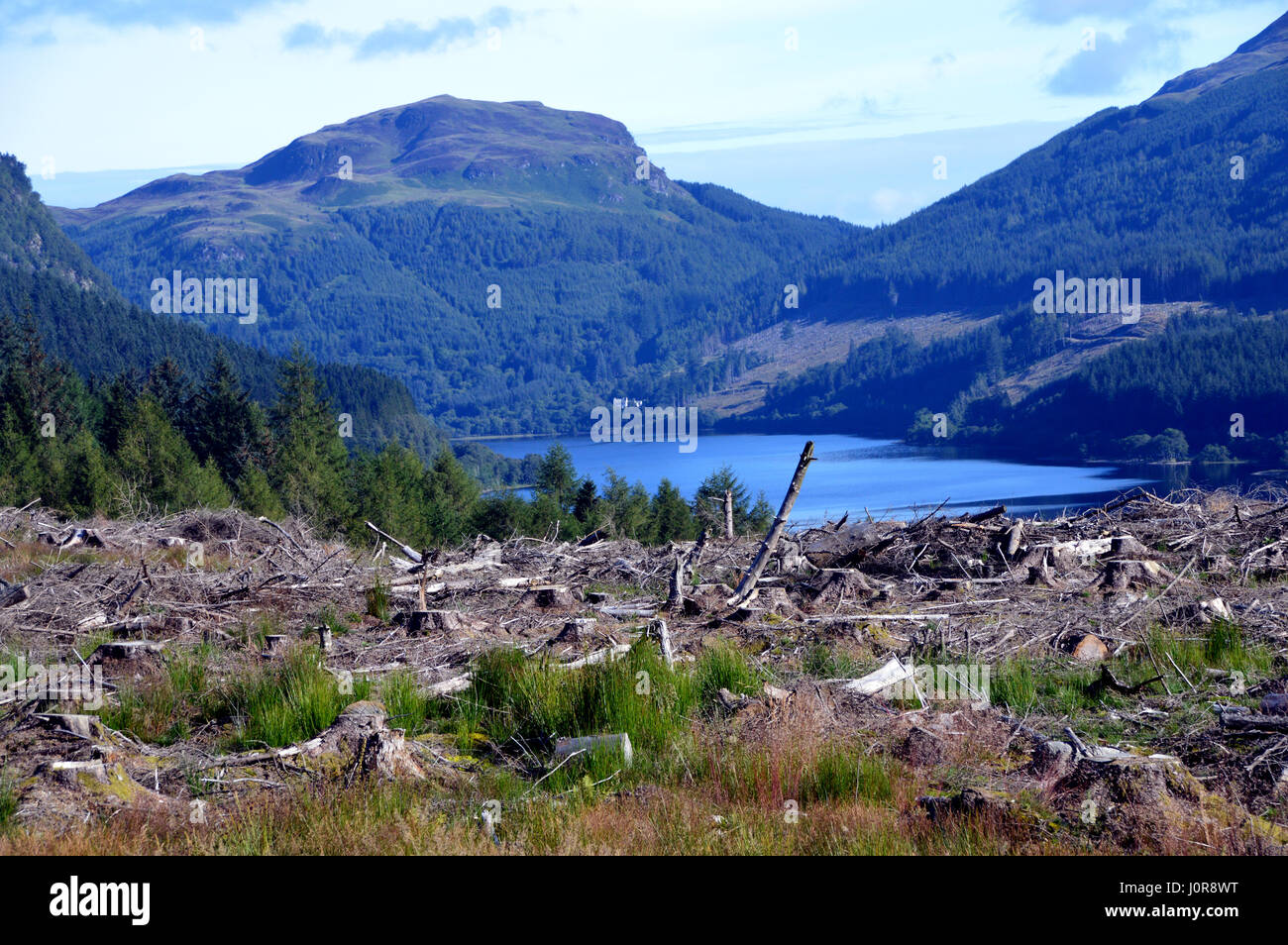 Highlands loch trees hi-res stock photography and images - Alamy