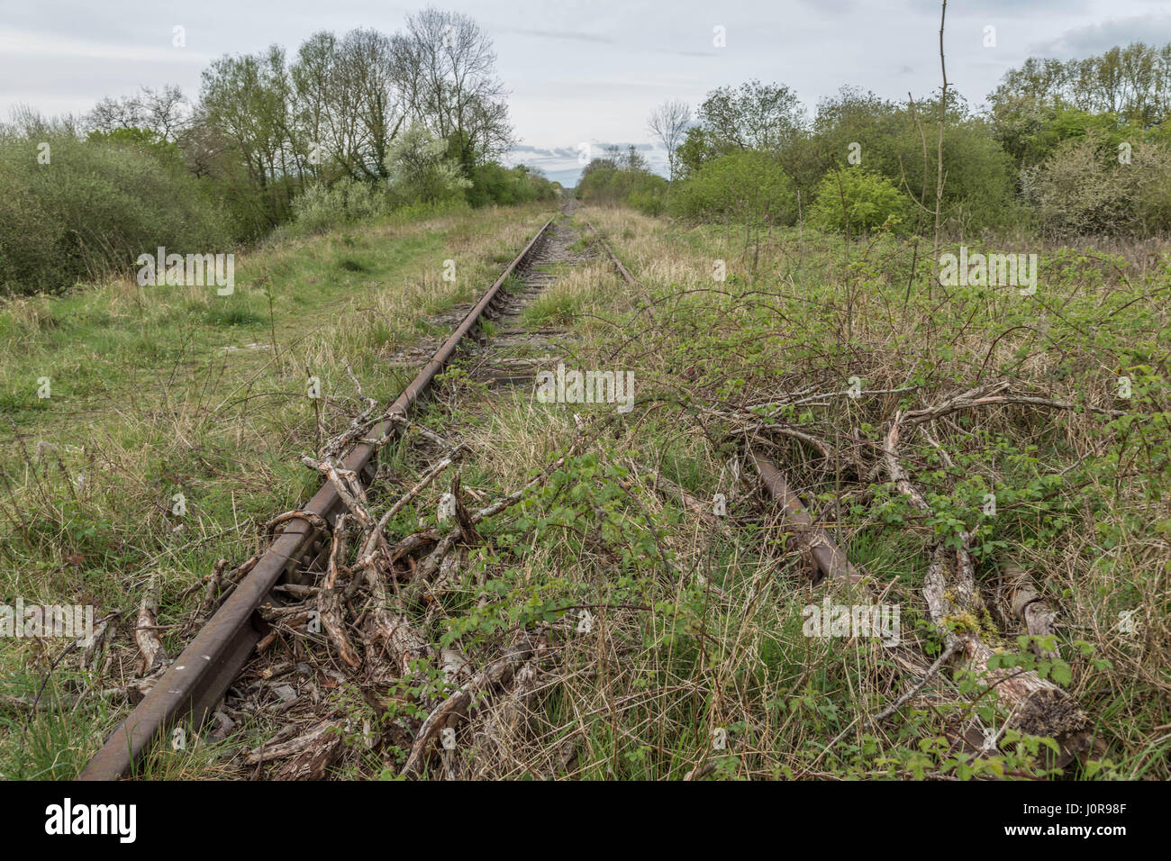 Disused railway line, with a rusty track leading into the distance ...