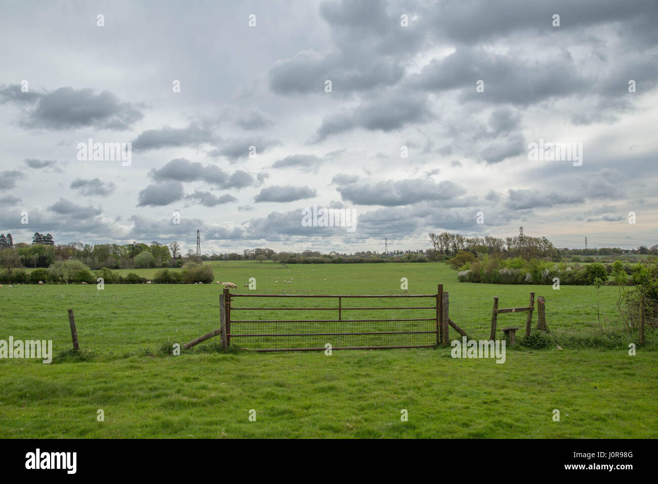 A metal gate entering a green field Stock Photo - Alamy
