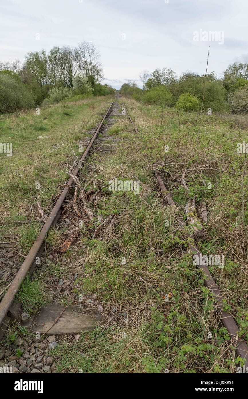 Disused railway track that is overgrown Stock Photo - Alamy