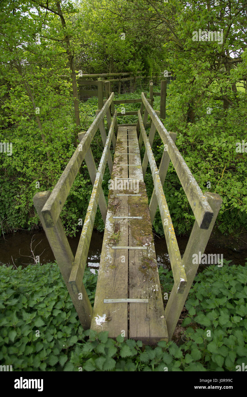 Wooden footbridge across stream Stock Photo - Alamy
