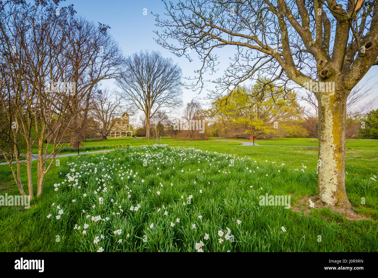 Flowers and trees at Cylburn Arboretum in Baltimore, Maryland Stock ...