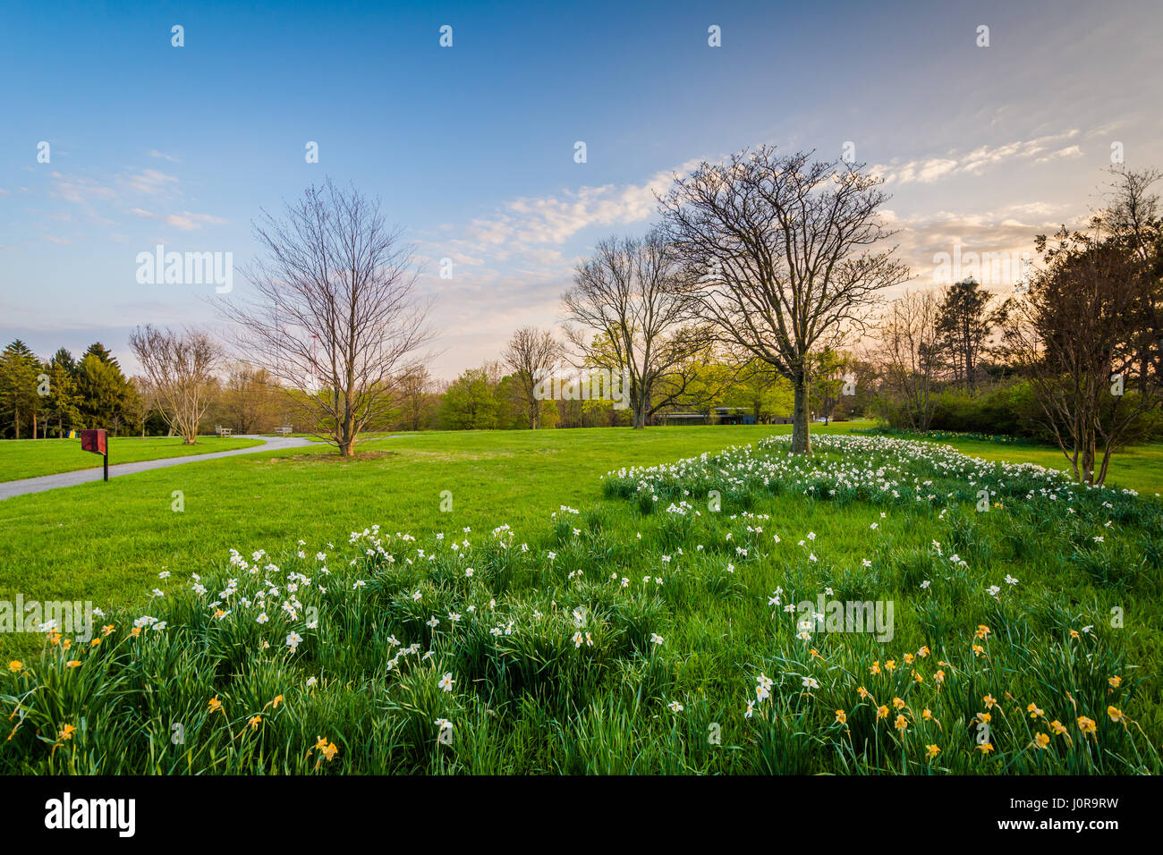 Flowers and trees at Cylburn Arboretum in Baltimore, Maryland Stock ...