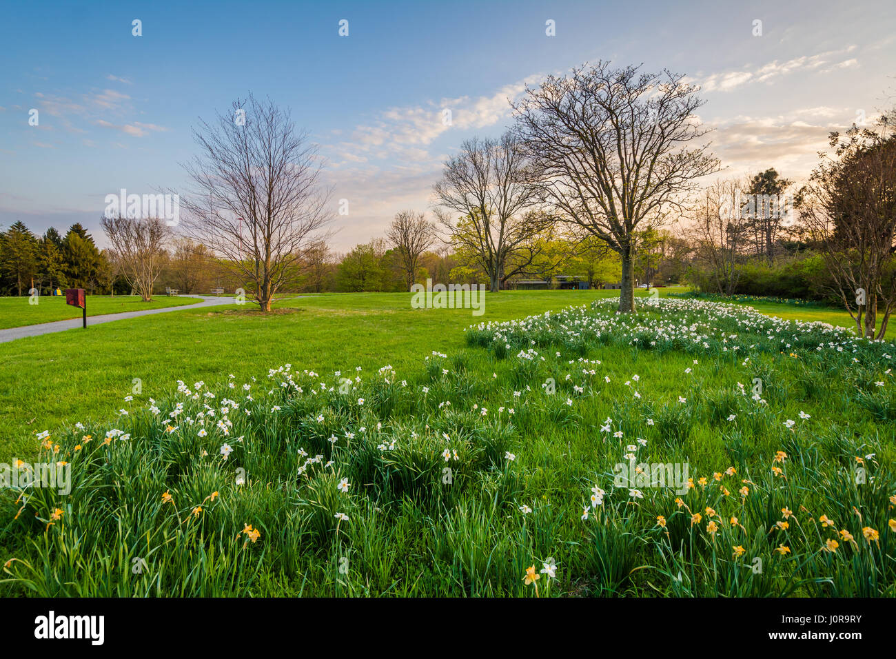 Flowers and trees at Cylburn Arboretum in Baltimore, Maryland Stock ...
