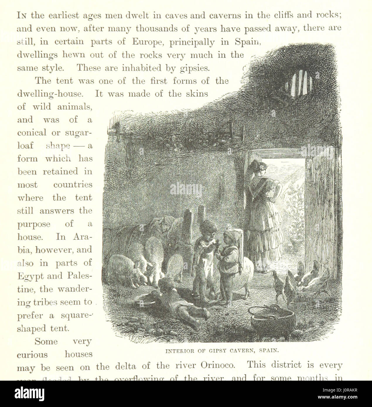 This image from 'Wonderland, or Curiosities of Nature and Art ...