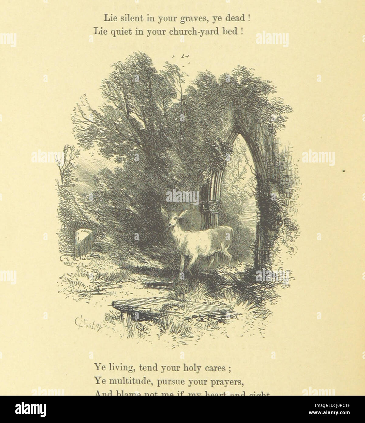 This poem, 'The White Doe of Rylstone,' explores the tragic fate of the ...