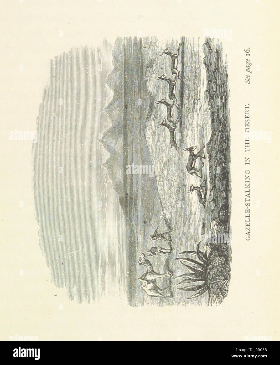 This work explores the Nile tributaries of Abyssinia and the sword ...