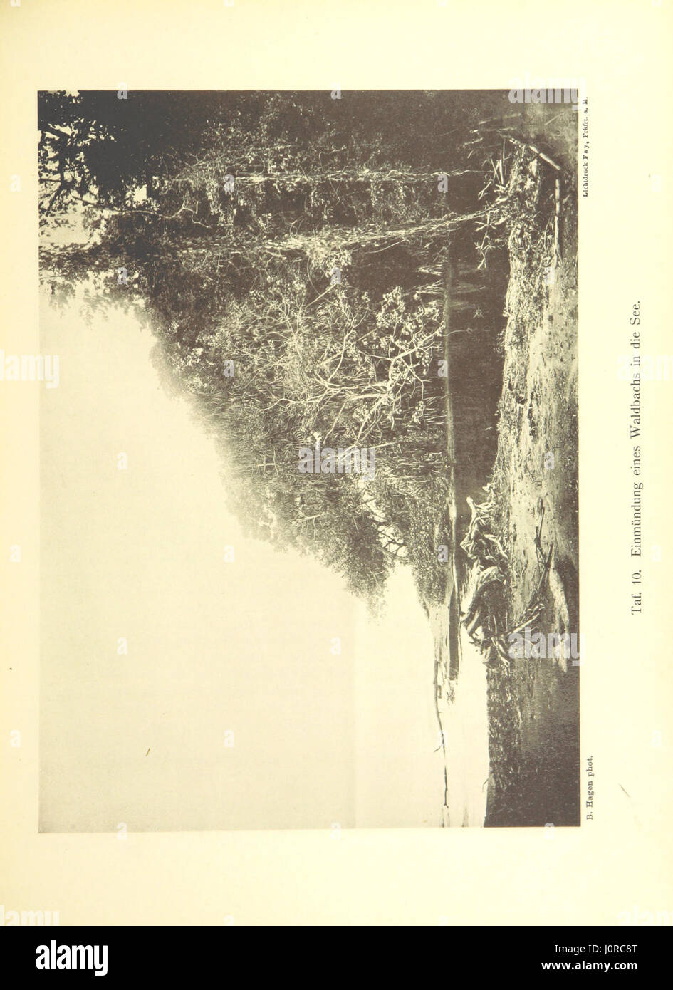 A detailed study of the land, people, animals, and plants of Kaiser ...