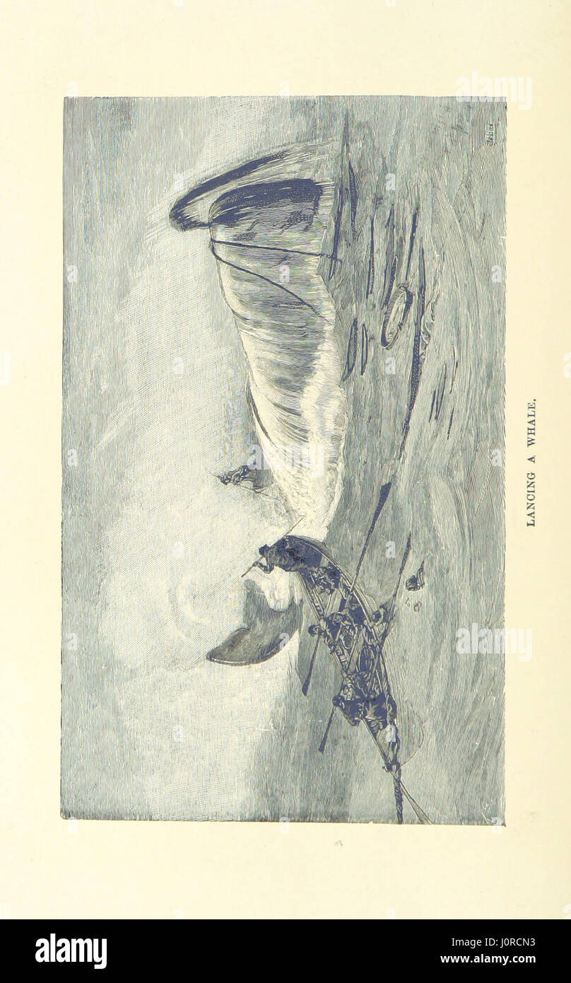 This image from 'The Cruise of the Cachalot' shows a scene from the ...