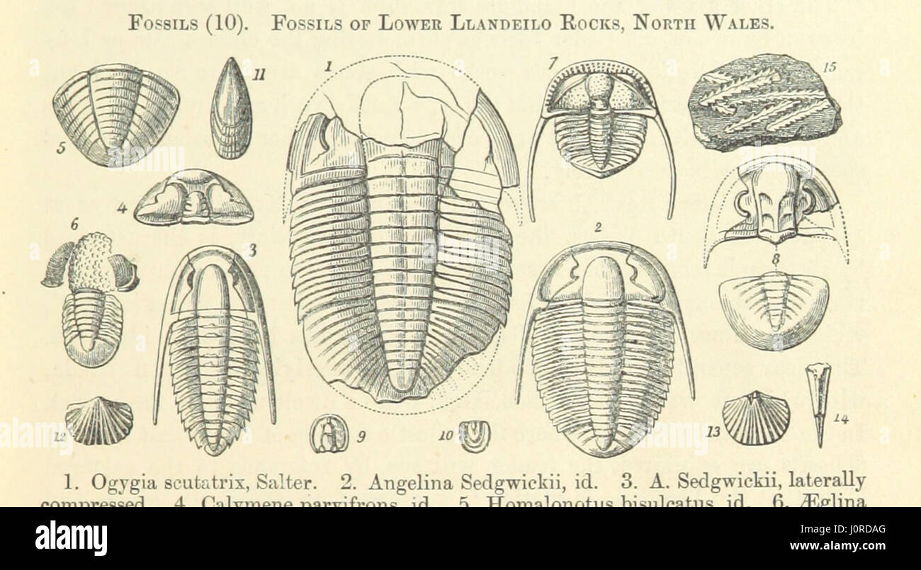 *Siluria* explores the history of the oldest known rocks containing ...