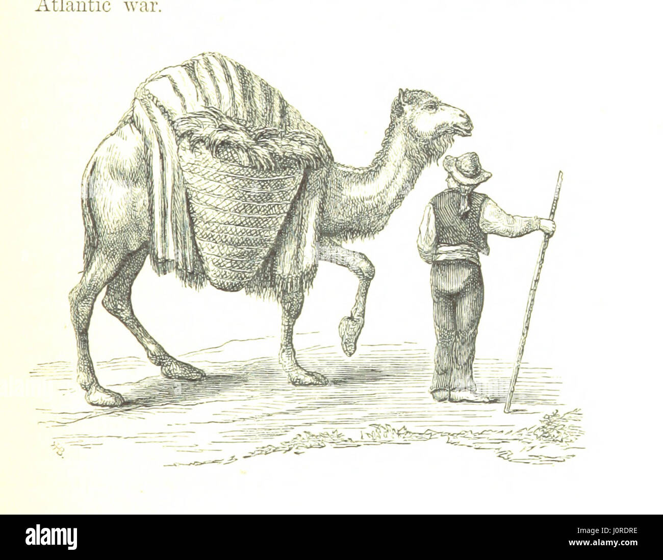 This work offers insights into Spanish life and culture, illustrating ...
