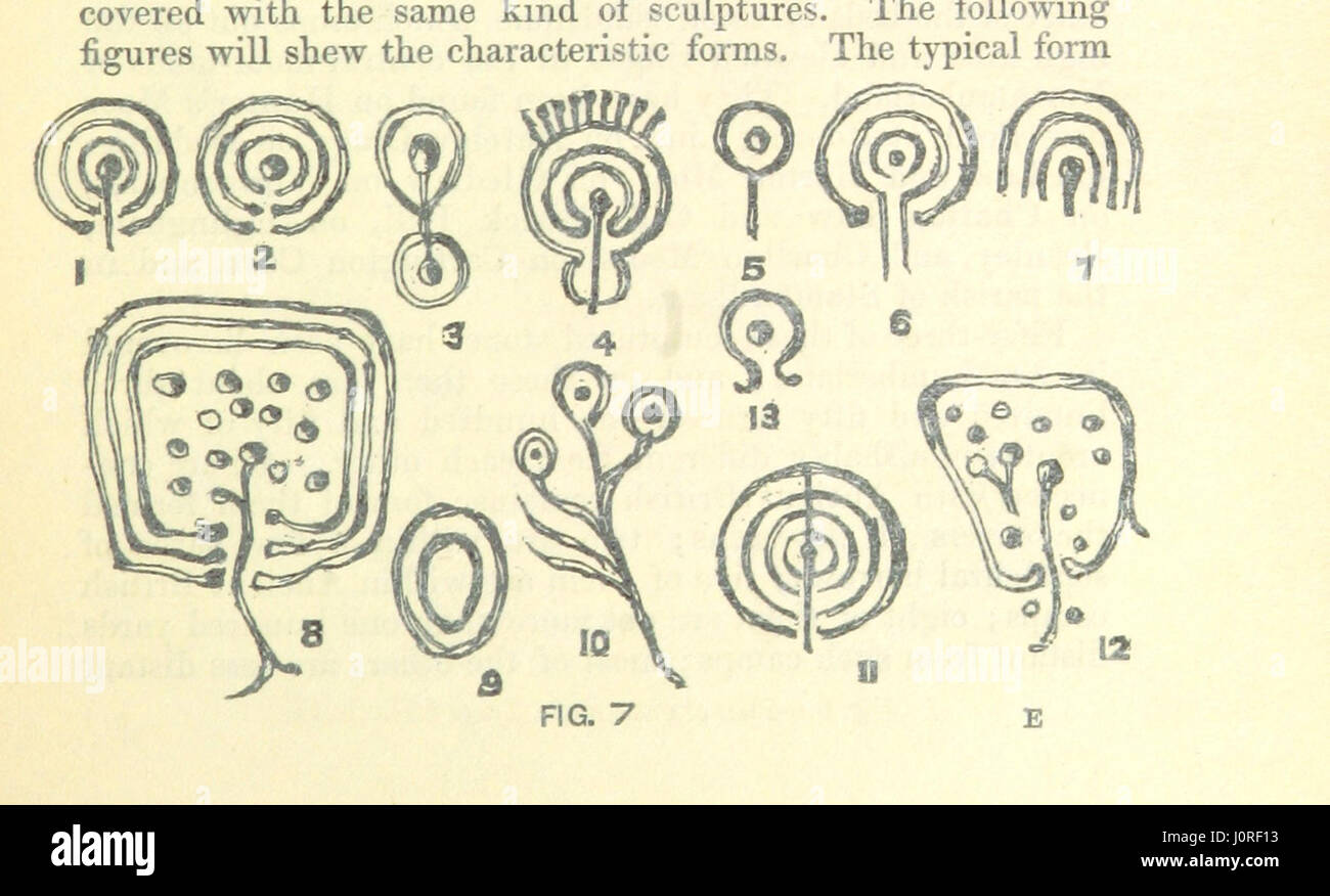 This work provides a historical overview of the Borough, Castle, and ...