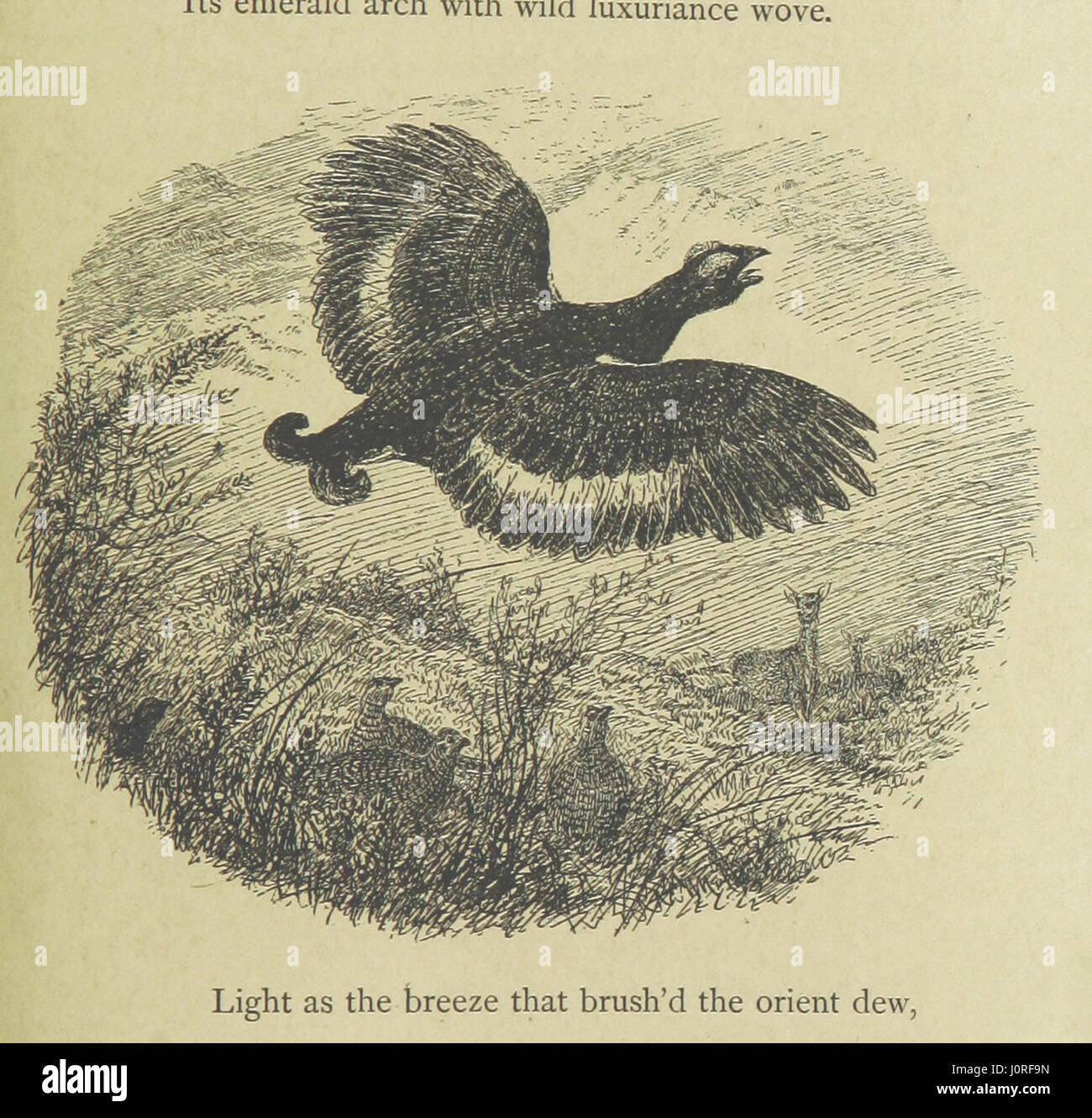 This work reflects on the power of memory and its emotional impact. It ...