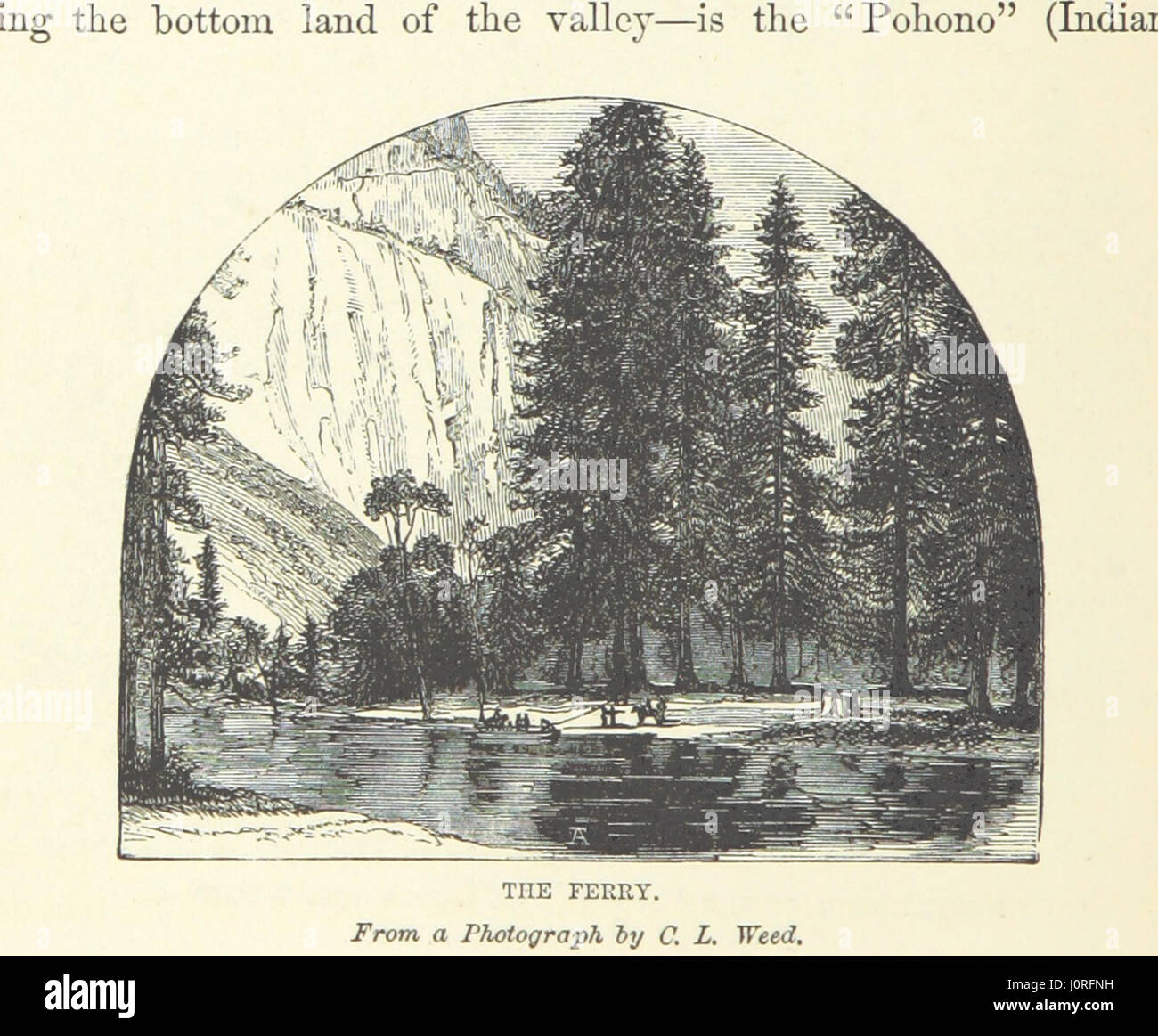 Scenes of Wonder and Curiosity in California offers a visual journey ...