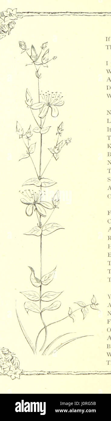 This image from page 84 of '[Poems and Pictures]' shows a scene from ...