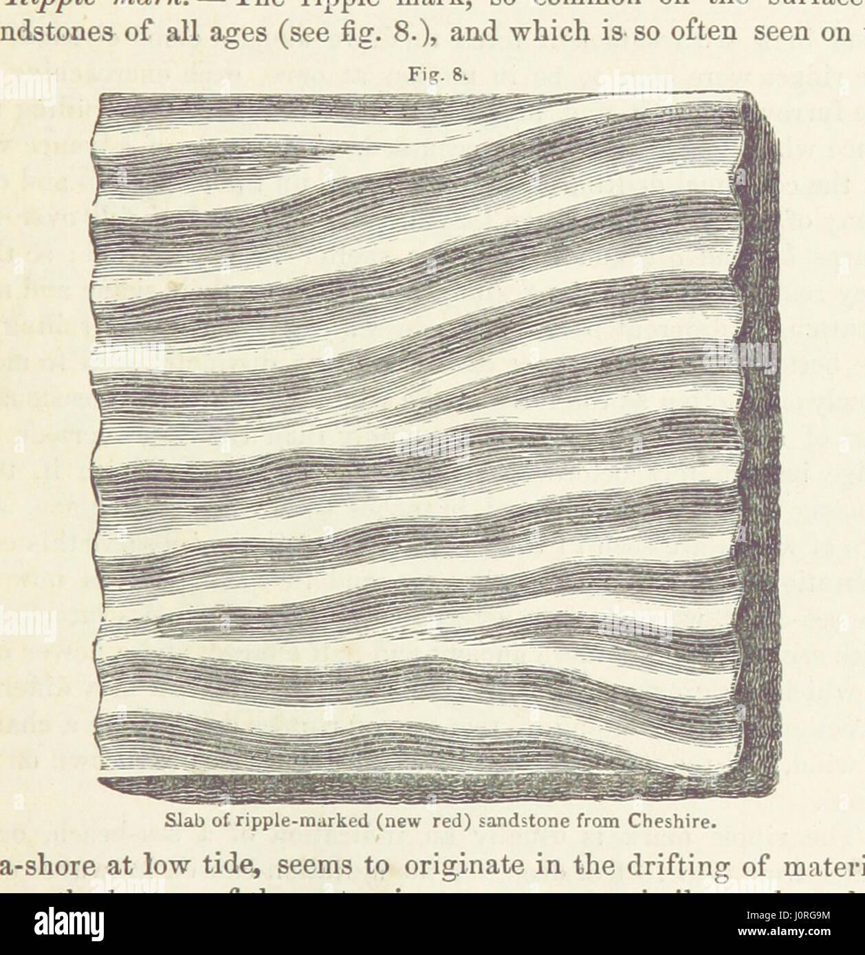 Elements of Geology ... Sixth edition, greatly enlarged and illustrated ...