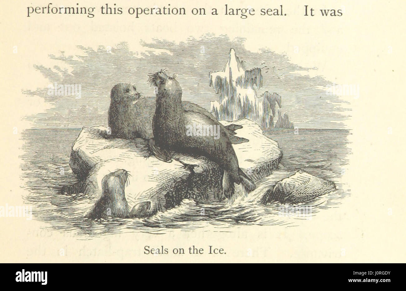 This book recounts a whaling expedition to Baffin's Bay and the Gulf of ...